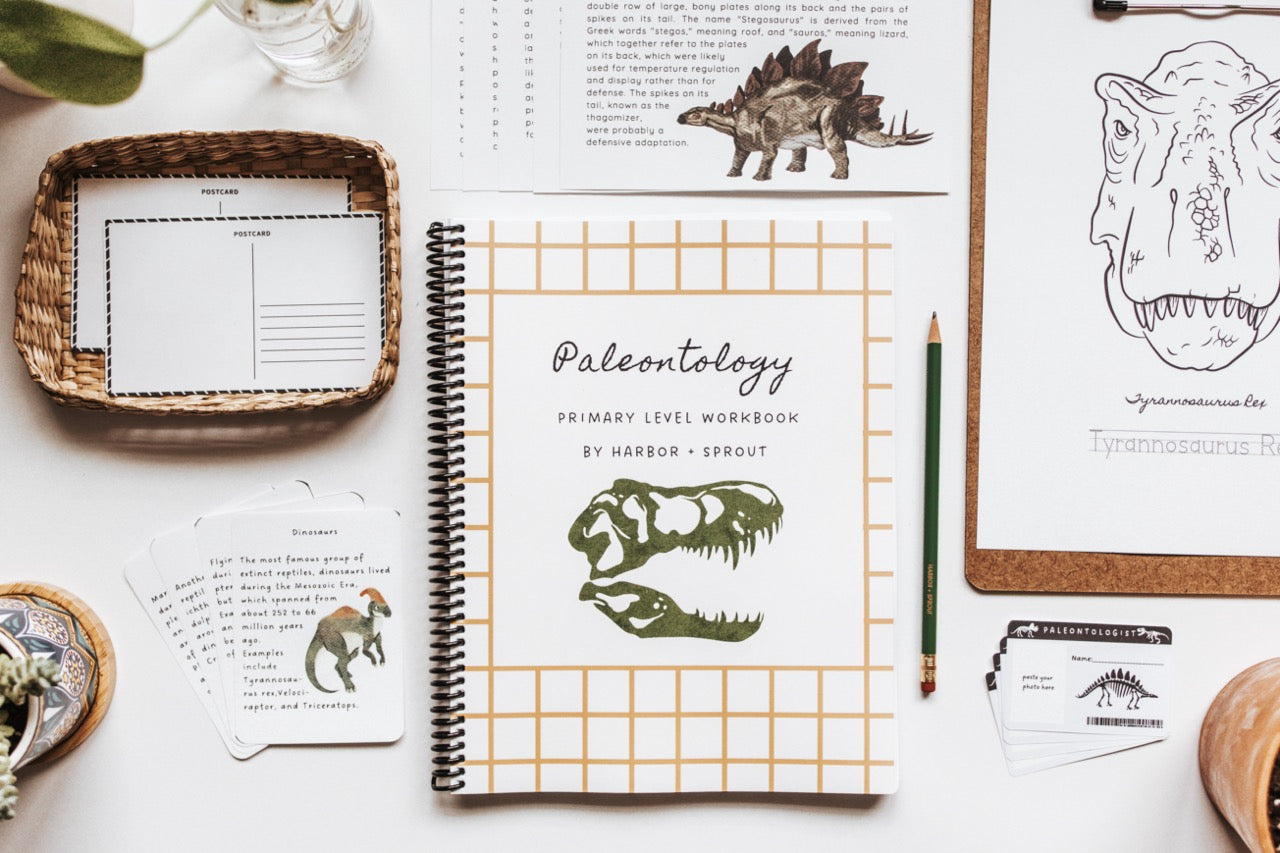DIGITAL Paleontology Primary Level Workbook – Harbor and Sprout