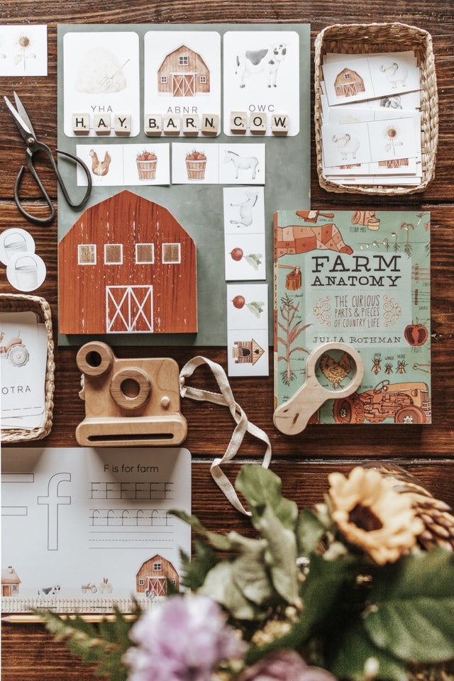 Agriculture Patchwork Study – Harbor and Sprout