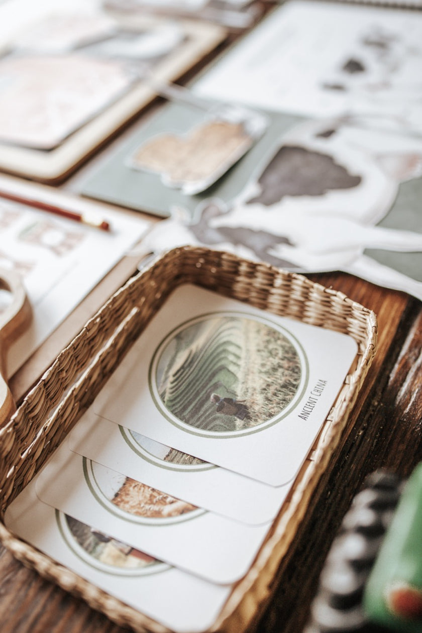 Agriculture Patchwork Study – Harbor and Sprout