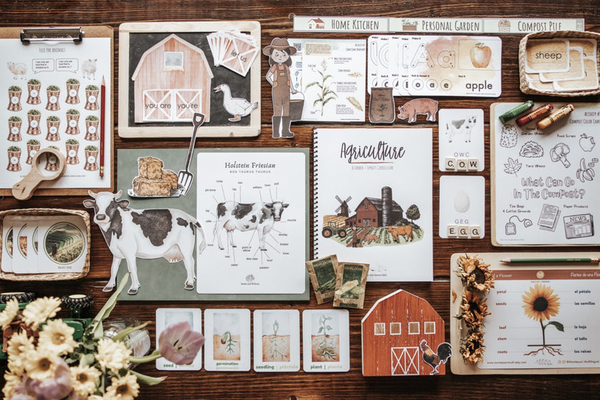 Patchwork Studies – Harbor and Sprout