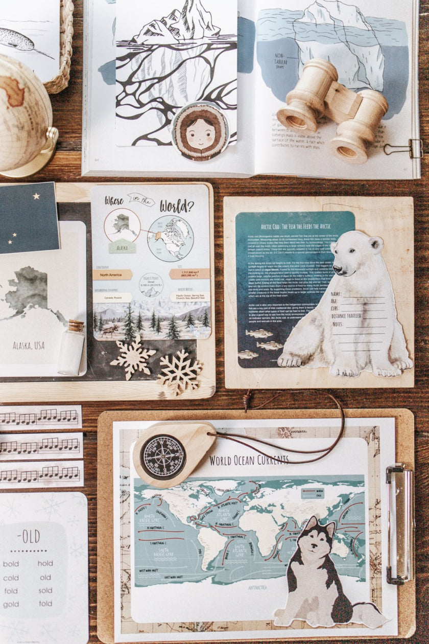 Arctic Ecology Patchwork Study – Harbor and Sprout