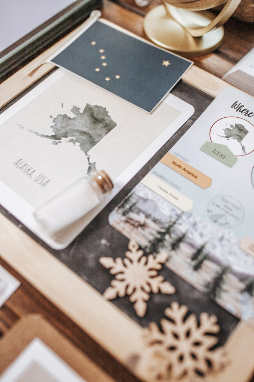 Arctic Ecology Patchwork Study – Harbor and Sprout
