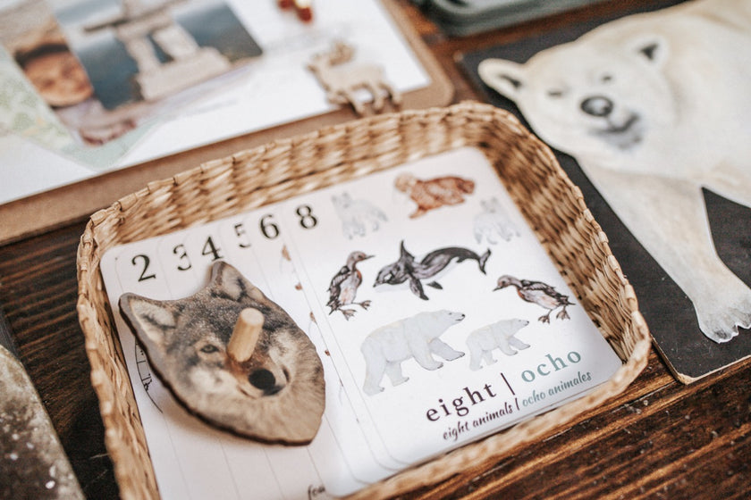 Arctic Ecology Patchwork Study – Harbor and Sprout