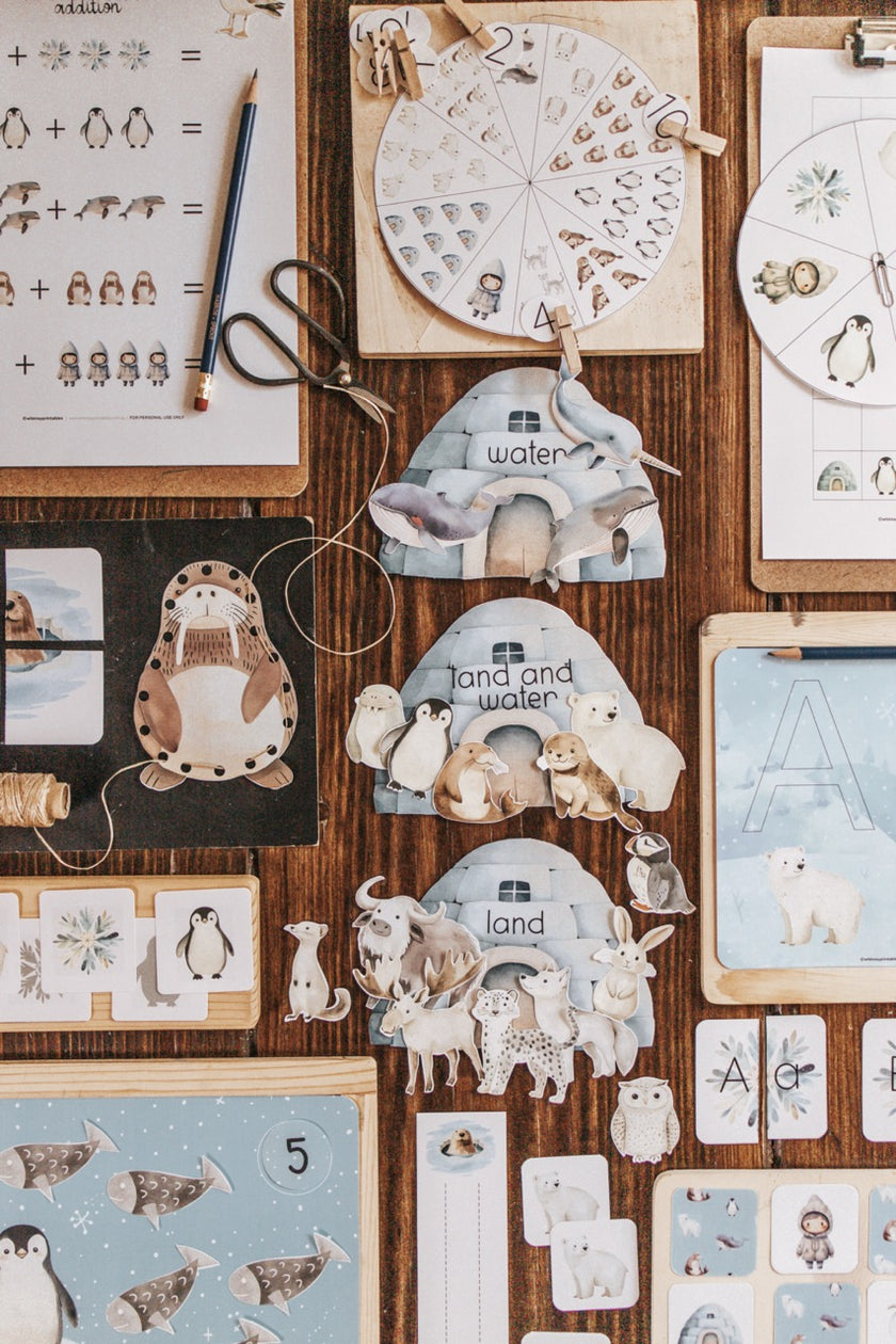 Arctic Ecology Morning Basket – Harbor and Sprout