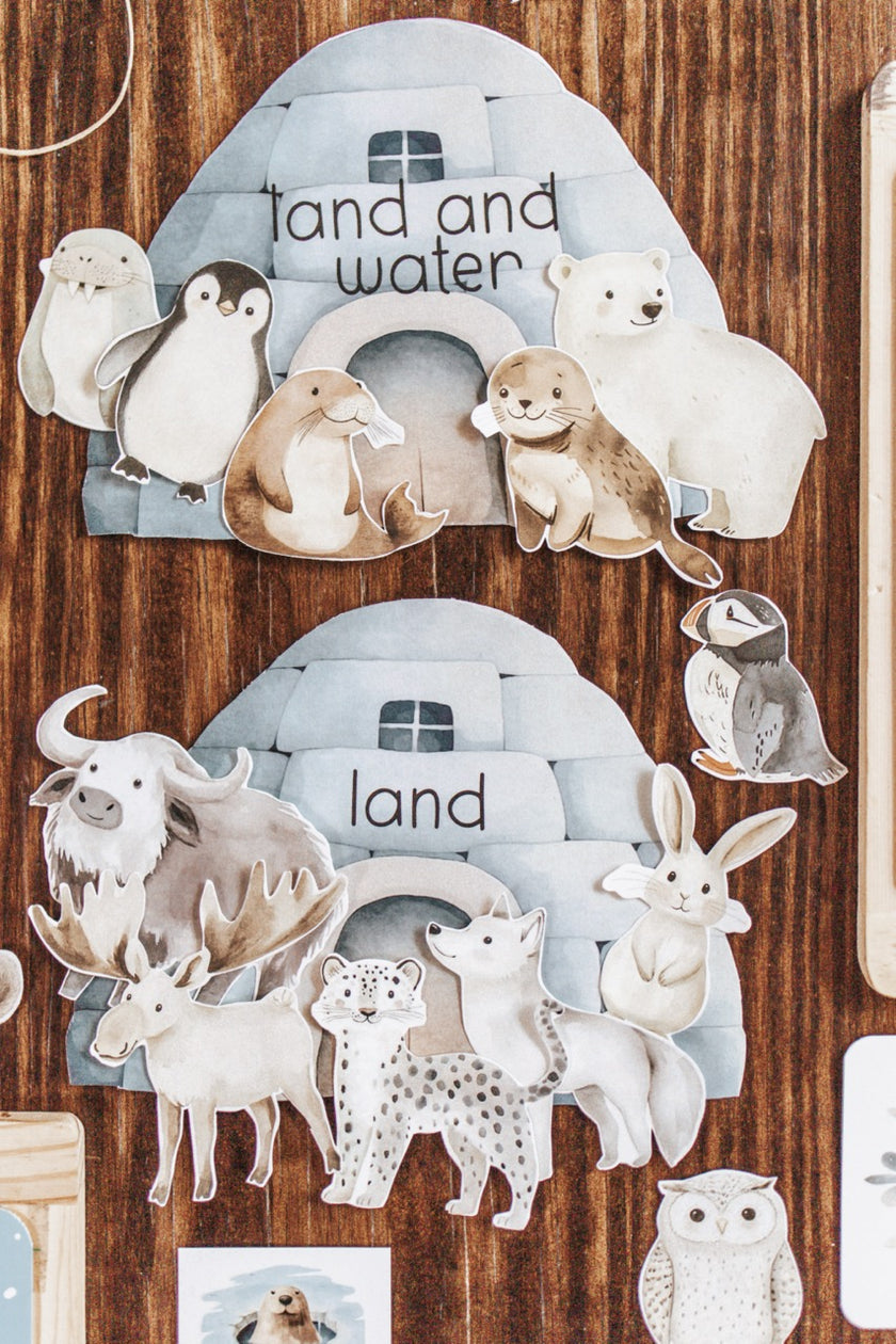 Arctic Ecology Morning Basket – Harbor and Sprout