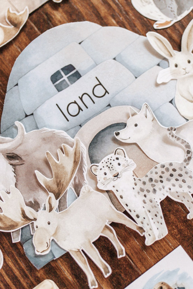 Arctic Ecology Morning Basket – Harbor and Sprout
