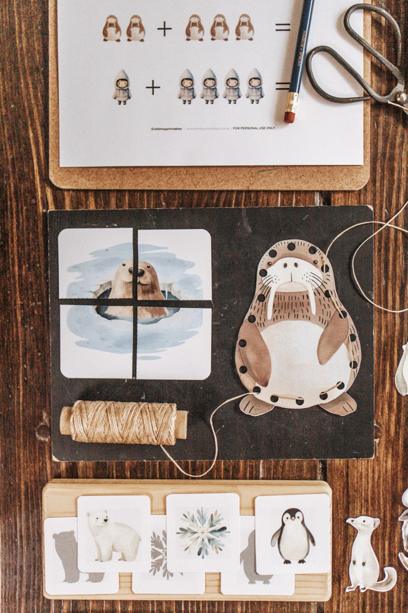 Arctic Ecology Morning Basket – Harbor and Sprout