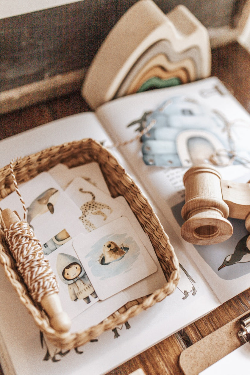 Arctic Ecology Morning Basket – Harbor and Sprout