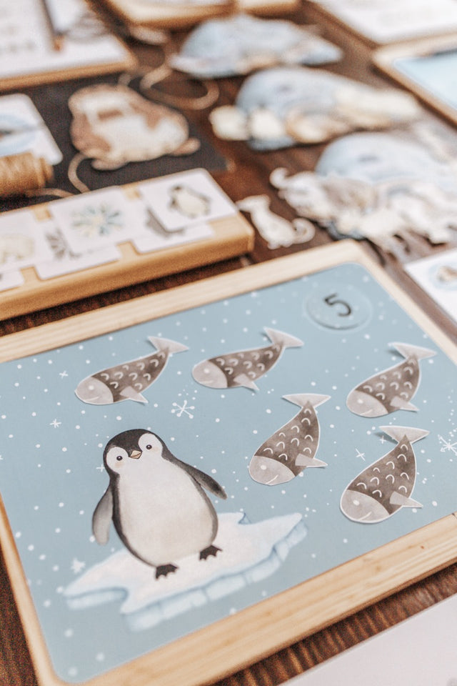 Arctic Ecology Morning Basket – Harbor and Sprout