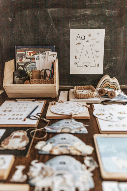 Arctic Ecology Morning Basket – Harbor and Sprout