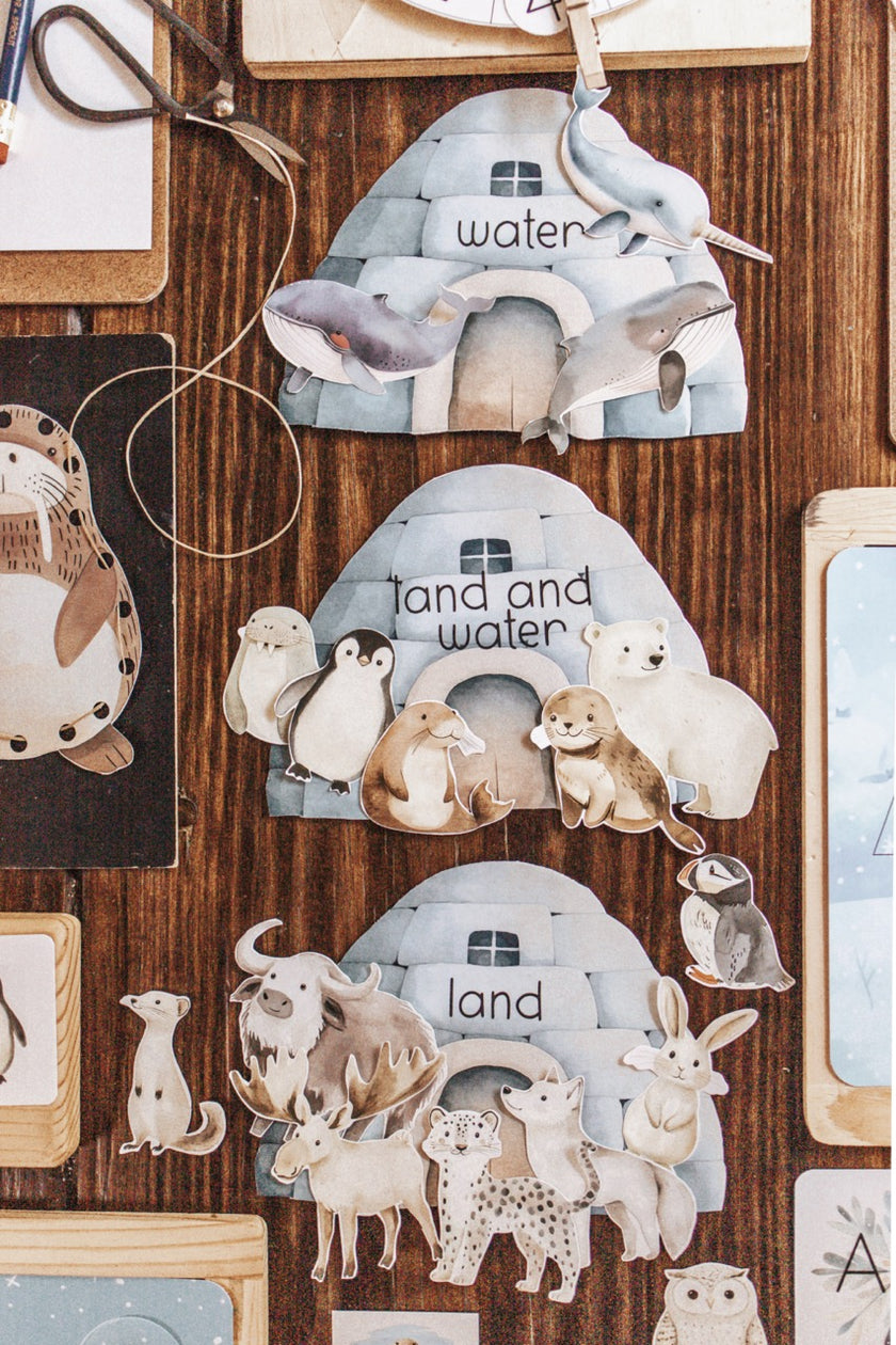 Arctic Ecology Morning Basket – Harbor and Sprout