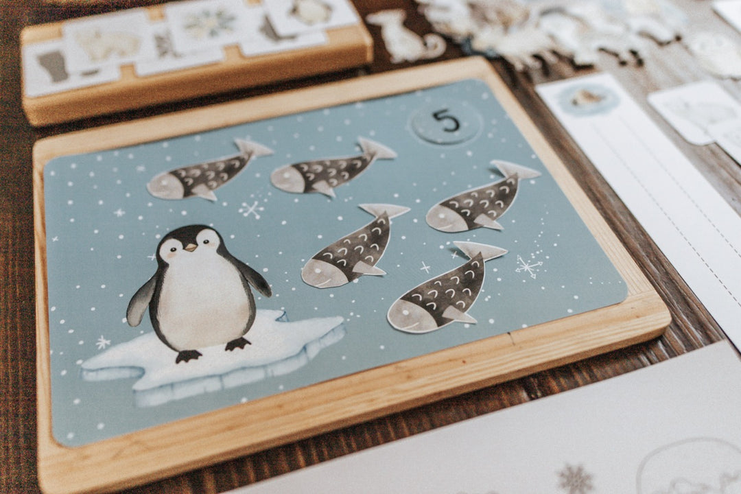 Arctic Ecology Morning Basket – Harbor and Sprout