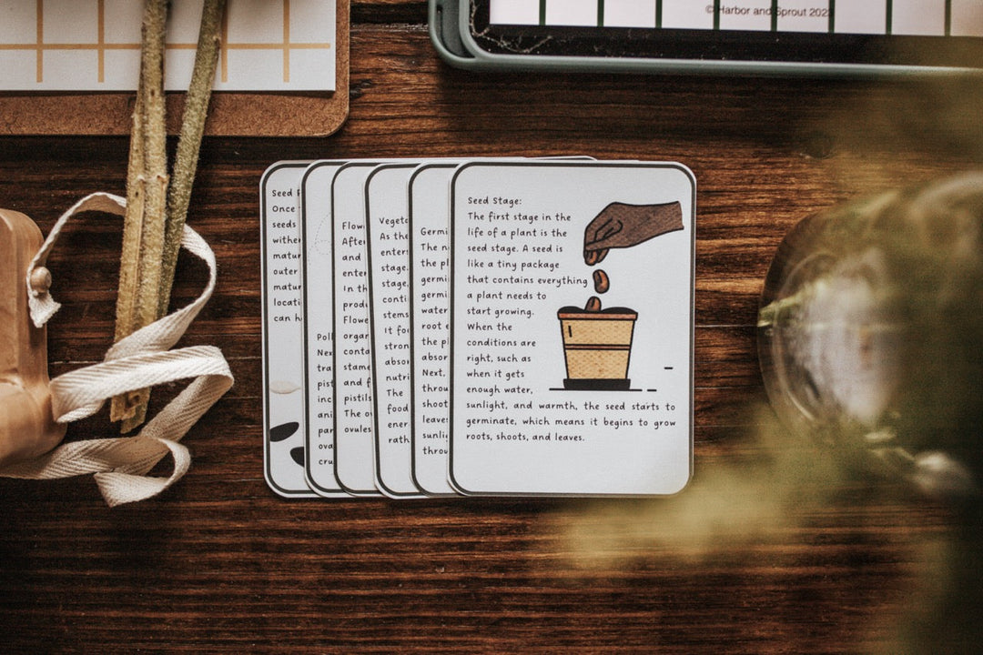 PRINT Botany Primary Level Unit Study – Harbor and Sprout