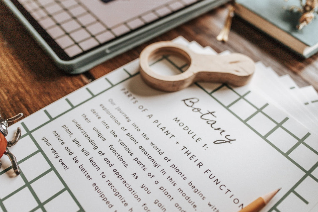 DIGITAL Botany Primary Level Unit Study – Harbor and Sprout