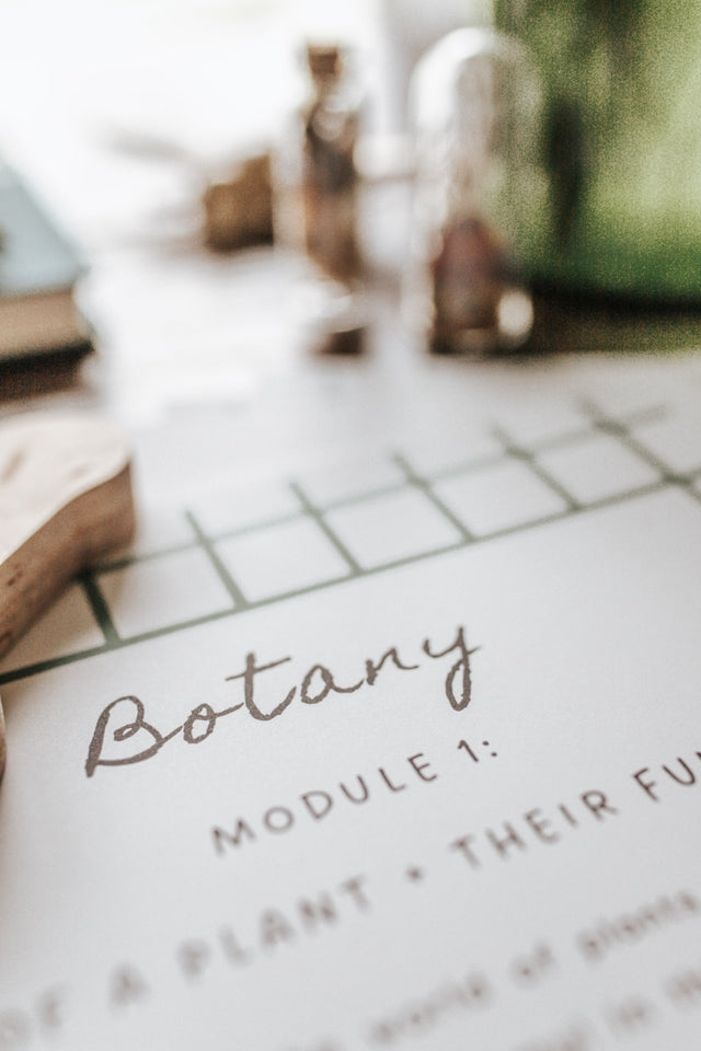 DIGITAL Botany Primary Level Unit Study – Harbor and Sprout