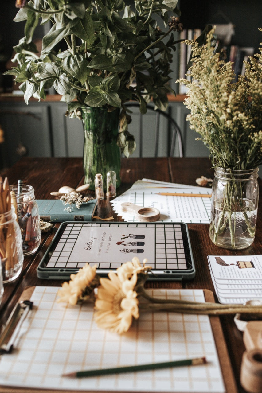 Botany Primary Level Unit Study – Harbor and Sprout