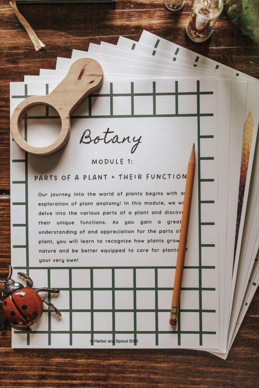 DIGITAL Botany Primary Level Unit Study – Harbor and Sprout