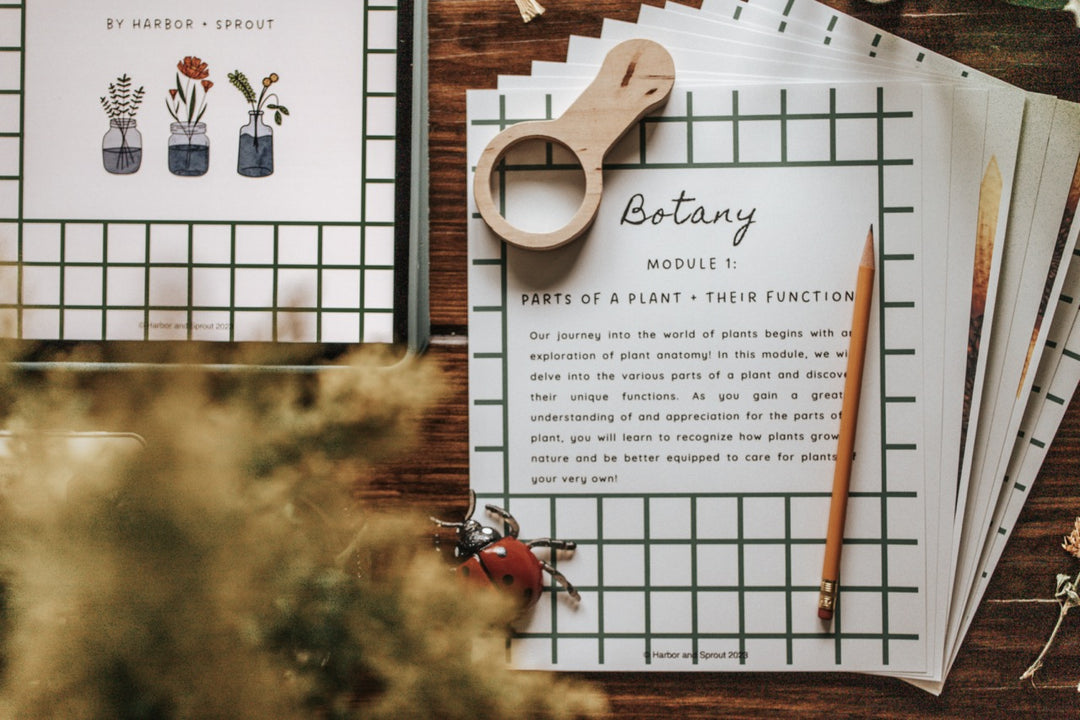 DIGITAL Botany Primary Level Unit Study – Harbor and Sprout