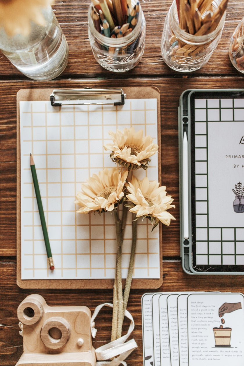 DIGITAL Botany Primary Level Unit Study – Harbor and Sprout