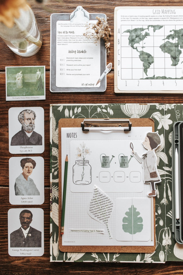 Botany Patchwork Study – Harbor and Sprout