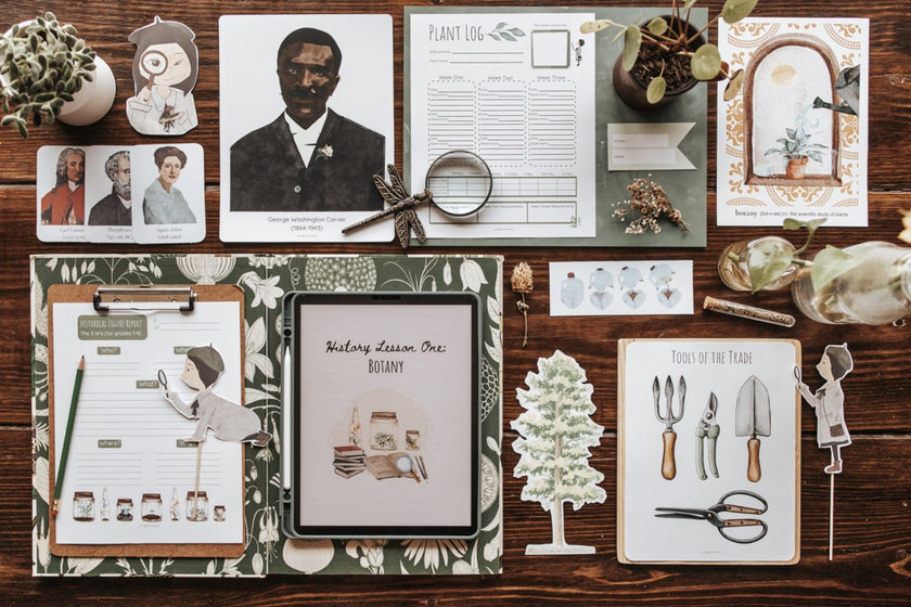 Botany Patchwork Study – Harbor and Sprout