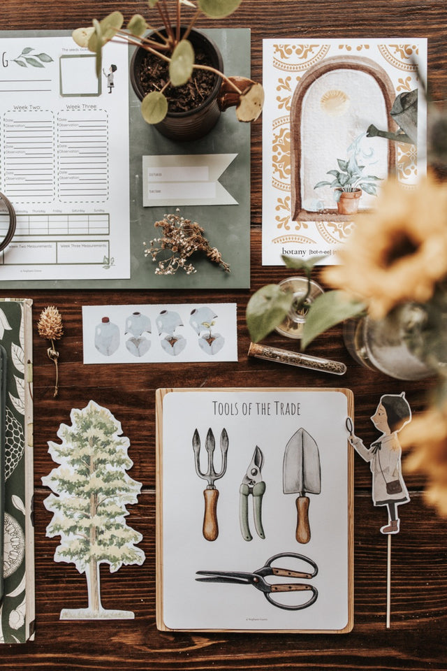 Botany Patchwork Study – Harbor and Sprout