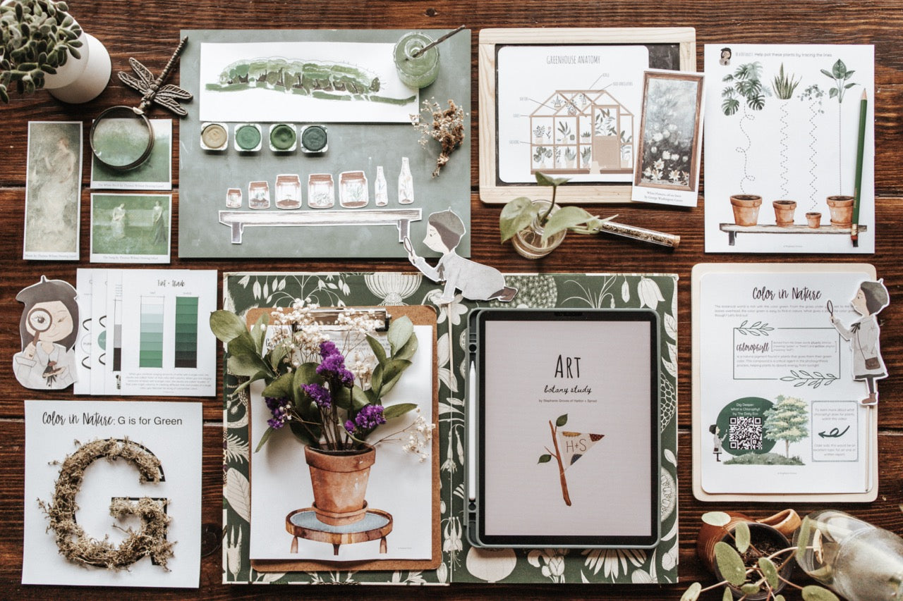 Botany Patchwork Study – Harbor and Sprout