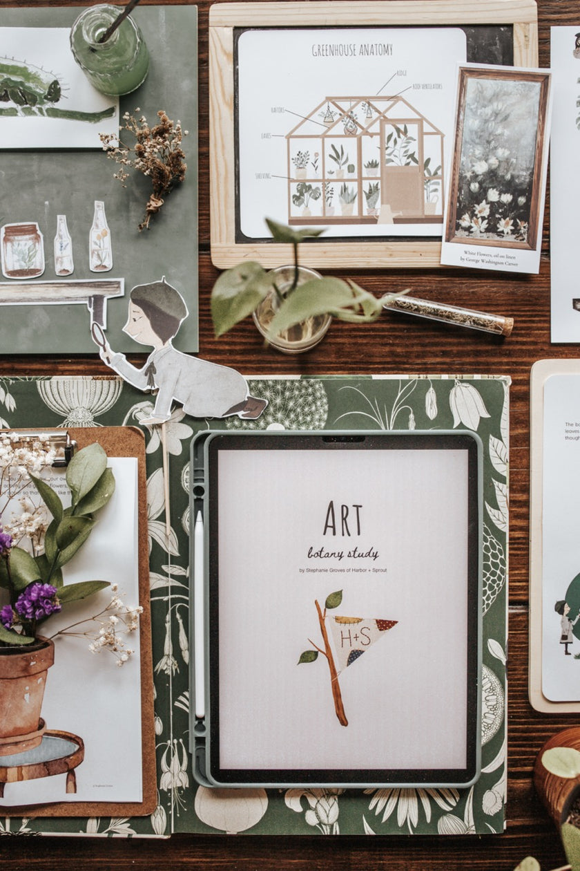 Botany Patchwork Study – Harbor and Sprout