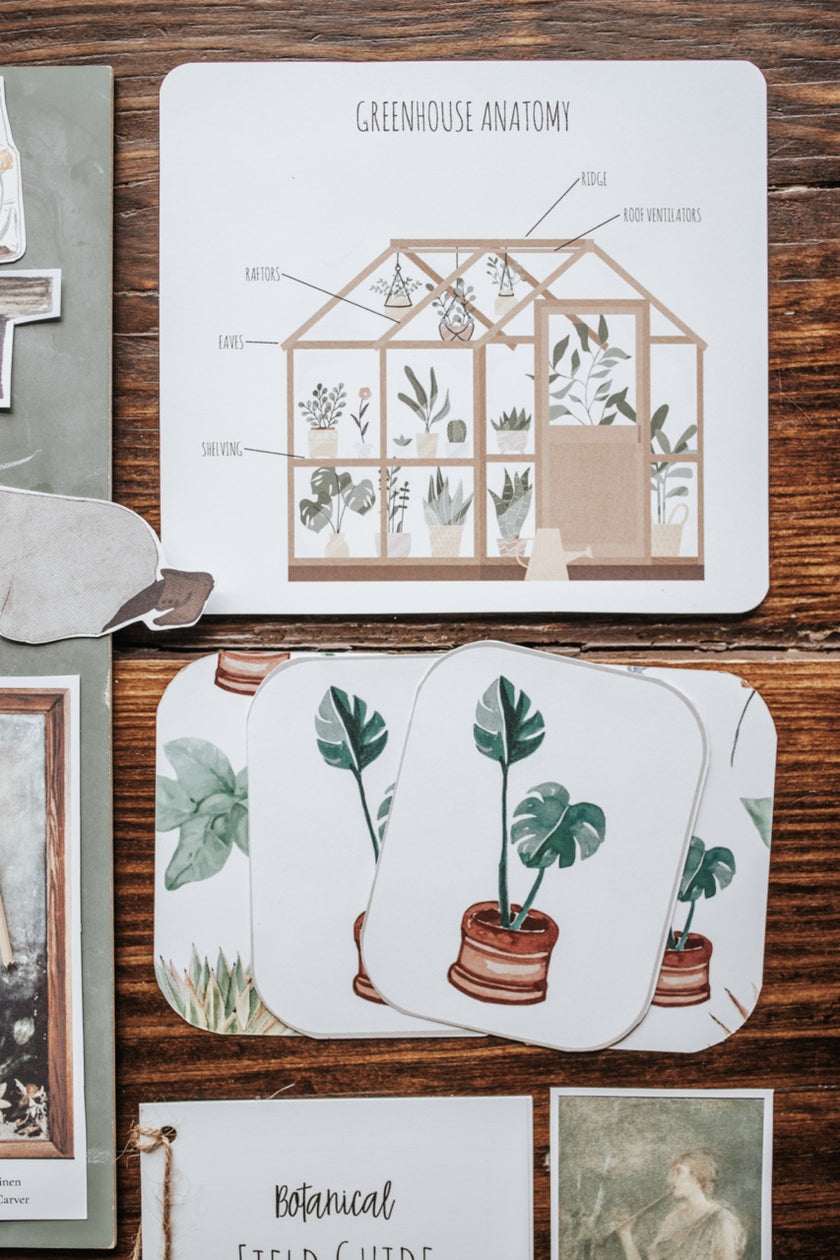 Botany Patchwork Study – Harbor and Sprout