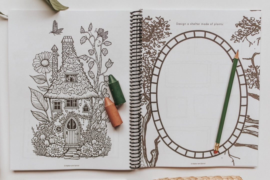 PRINT Botany Primary Level Workbook – Harbor and Sprout