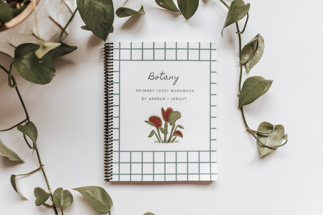 DIGITAL Botany Primary Level Workbook – Harbor and Sprout