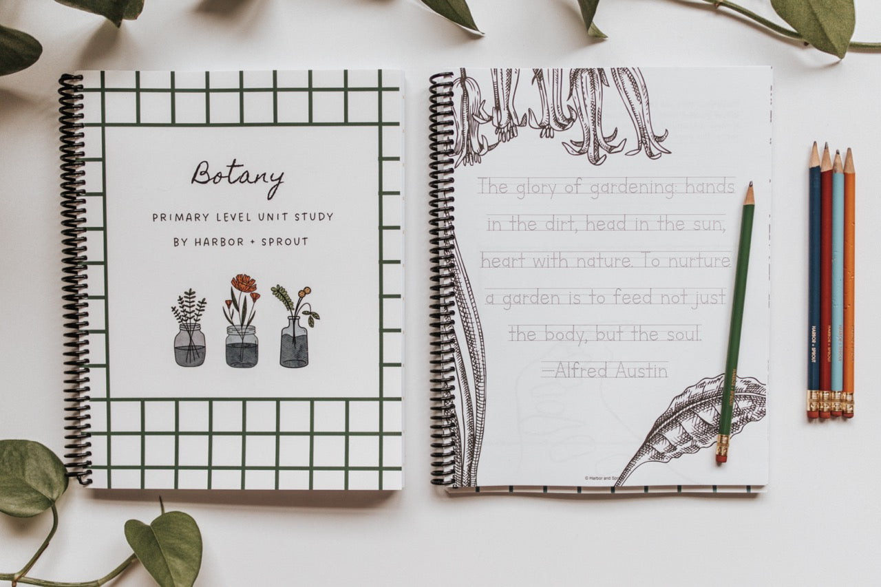 PRINT Botany Primary Level Workbook – Harbor and Sprout