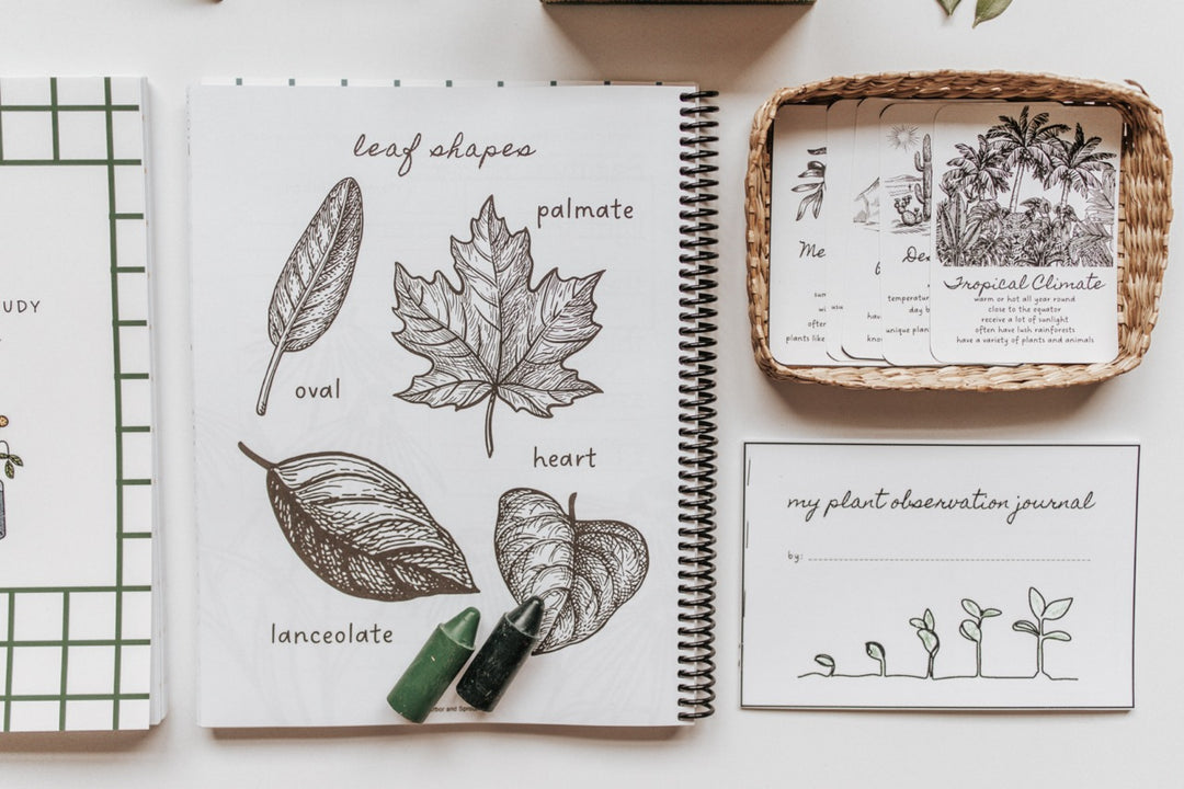 DIGITAL Botany Primary Level Workbook – Harbor and Sprout