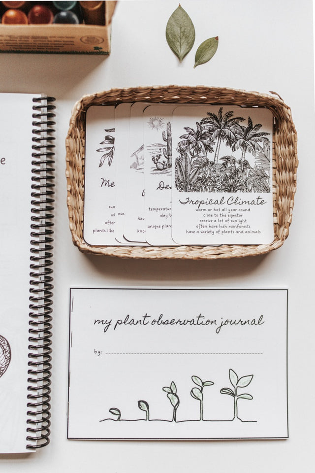 PRINT Botany Primary Level Workbook – Harbor and Sprout