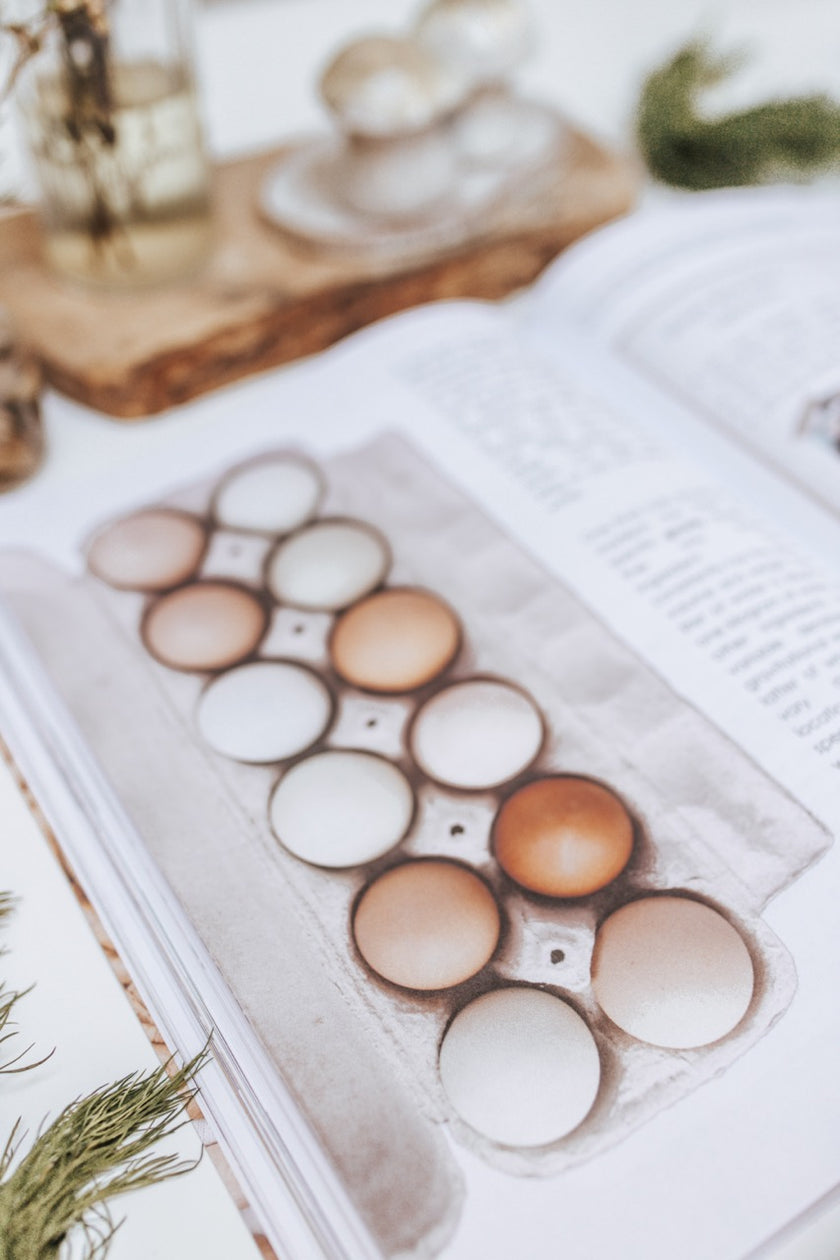 PRINT Culinary Arts Secondary Level Unit Study – Harbor and Sprout