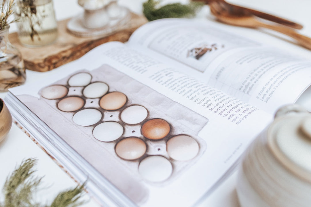 PRINT Culinary Arts Secondary Level Unit Study – Harbor and Sprout