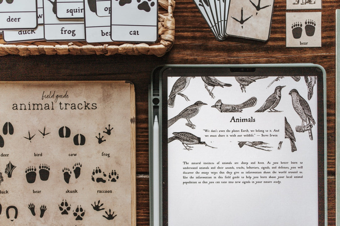 Curio Nature Society Field Guide Issue 12- ANIMALS – Harbor and Sprout