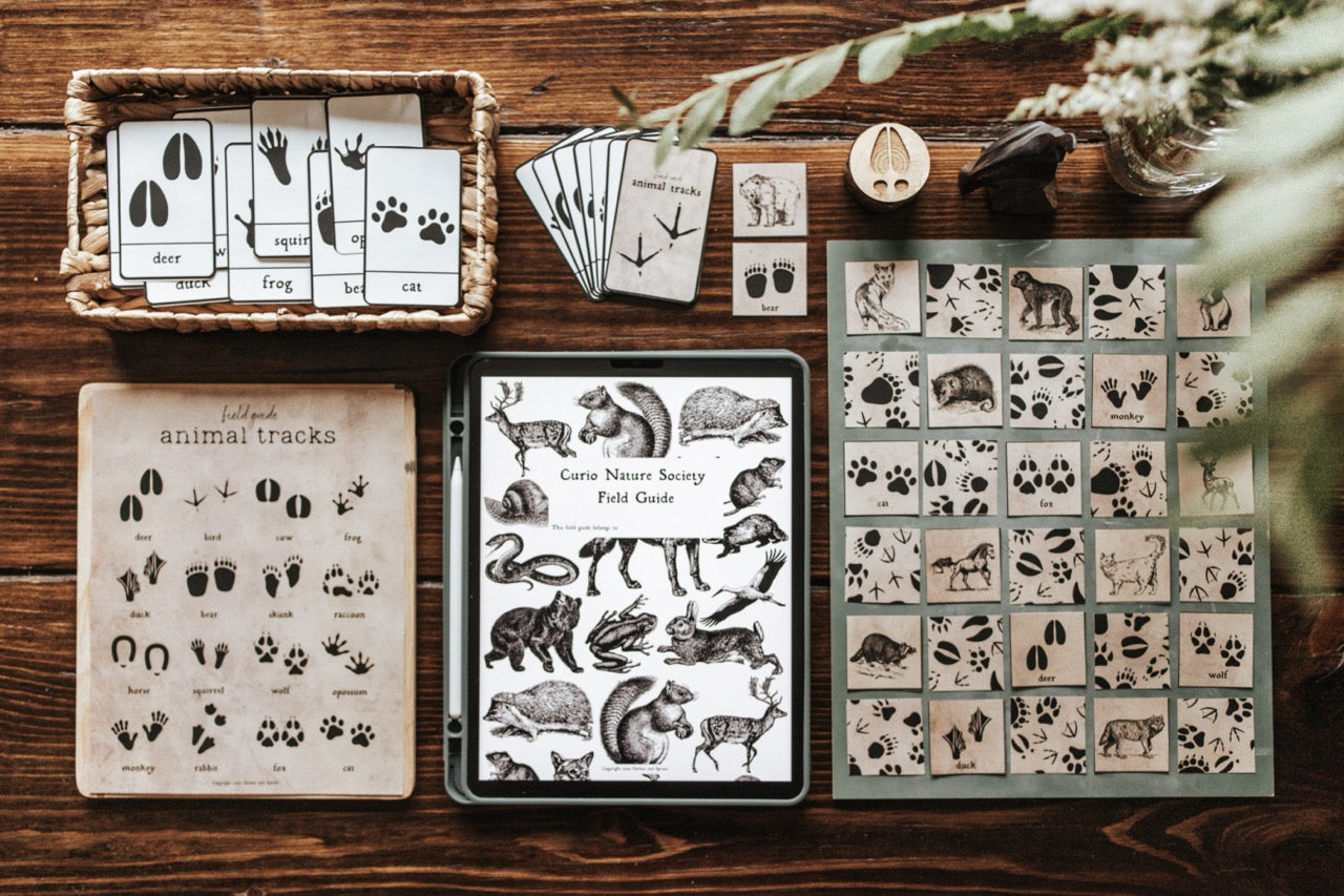 Curio Nature Society Field Guide Issue 12- ANIMALS – Harbor and Sprout