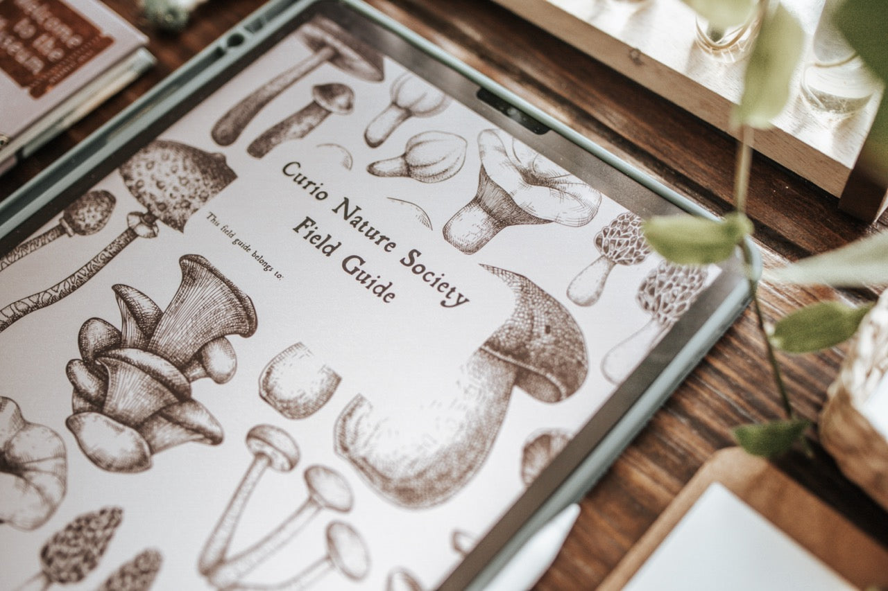 Curio Nature Society Field Guide Issue 8- FUNGI – Harbor and Sprout