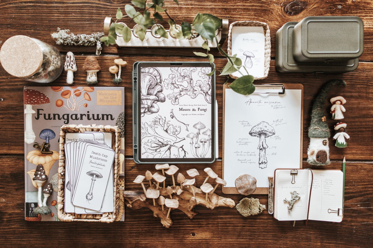 Fungi Flash Cards – Harbor and Sprout