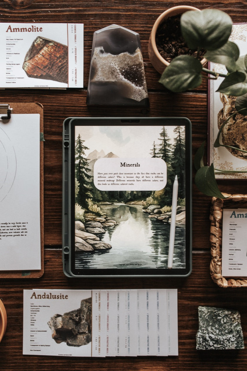 Rocks and Minerals Cards – Harbor and Sprout