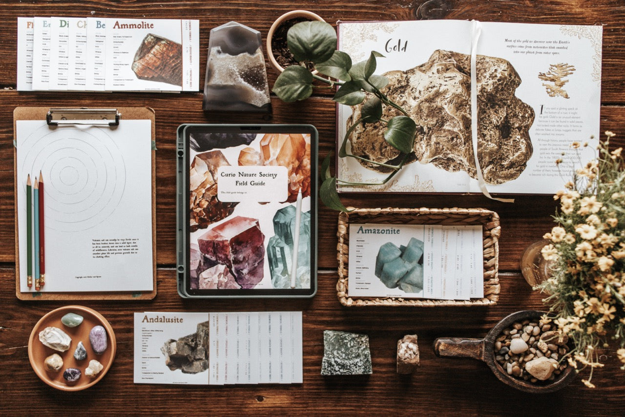 Rocks and Minerals Cards – Harbor and Sprout