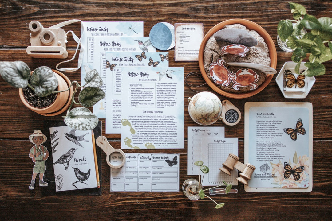 Exploration – Harbor and Sprout