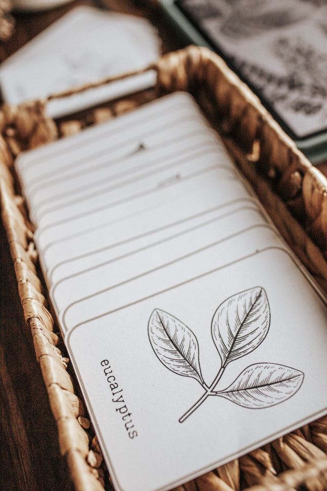 Leaf Identification Cards – Harbor and Sprout