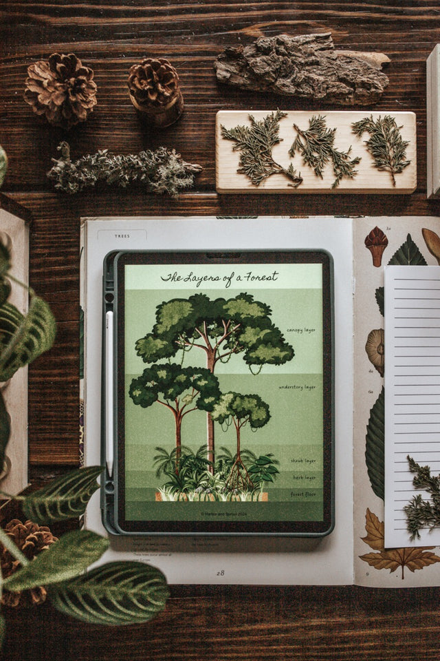 DIGITAL Forestry Primary Level Unit Study – Harbor and Sprout