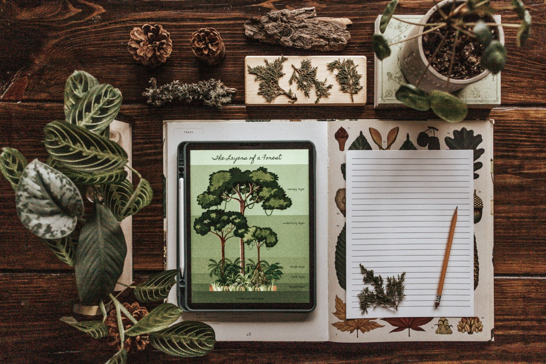 DIGITAL Forestry Primary Level Unit Study – Harbor and Sprout