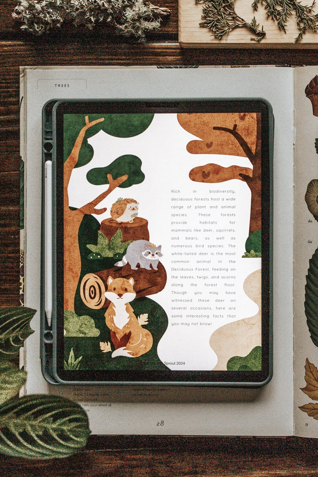 DIGITAL Forestry Primary Level Unit Study – Harbor and Sprout