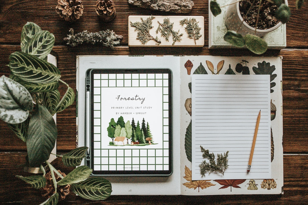 FREE SAMPLE: Forestry Primary Level Unit Study – Harbor and Sprout