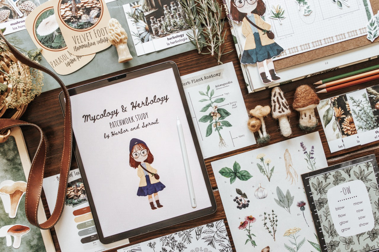 Mycology & Herbology Patchwork Study – Harbor and Sprout