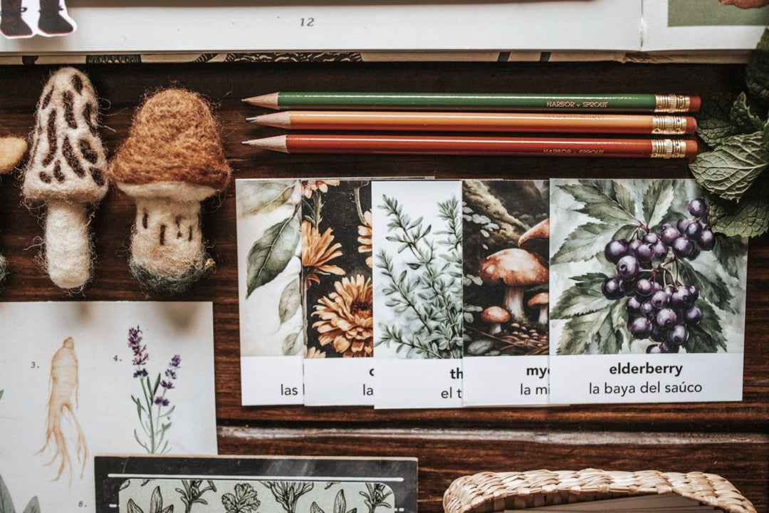 Mycology & Herbology Patchwork Study – Harbor and Sprout